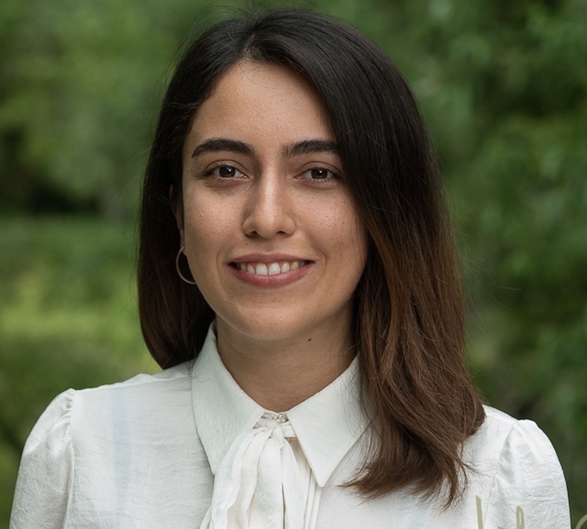 Dr Elnaz Azizi shortlisted for Rising Stars Women in Engineering Workshop | The Eric and Wendy ...